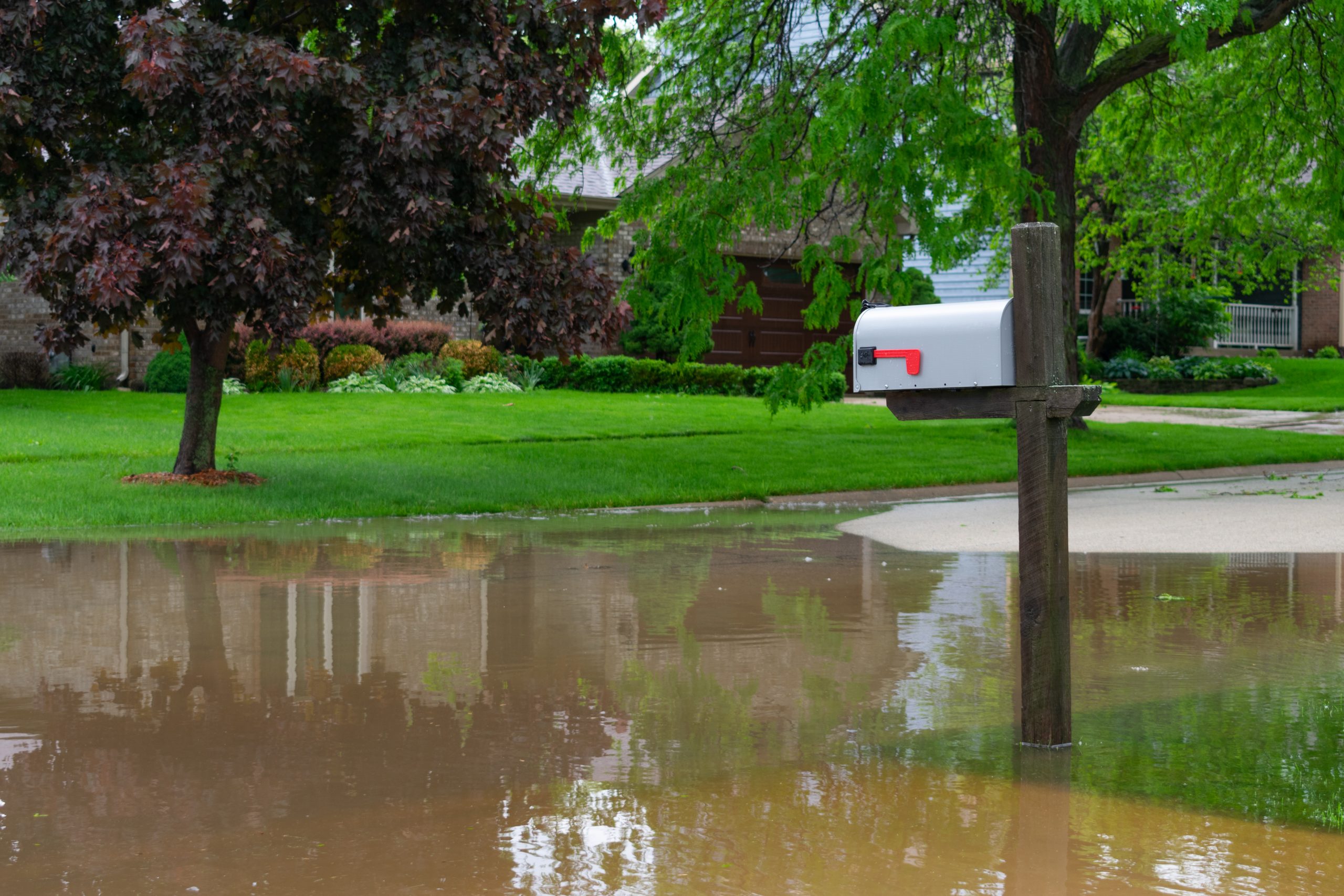 Understanding Flood Insurance: Why Every Homeowner Needs It - Swyfft Blog